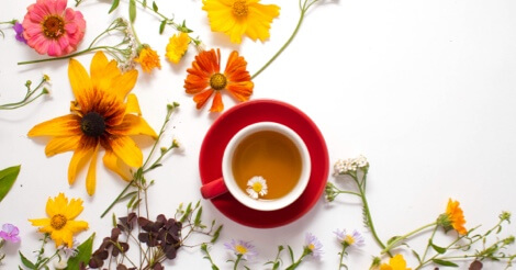California Poppy: a Natural Remedy for your Sleep